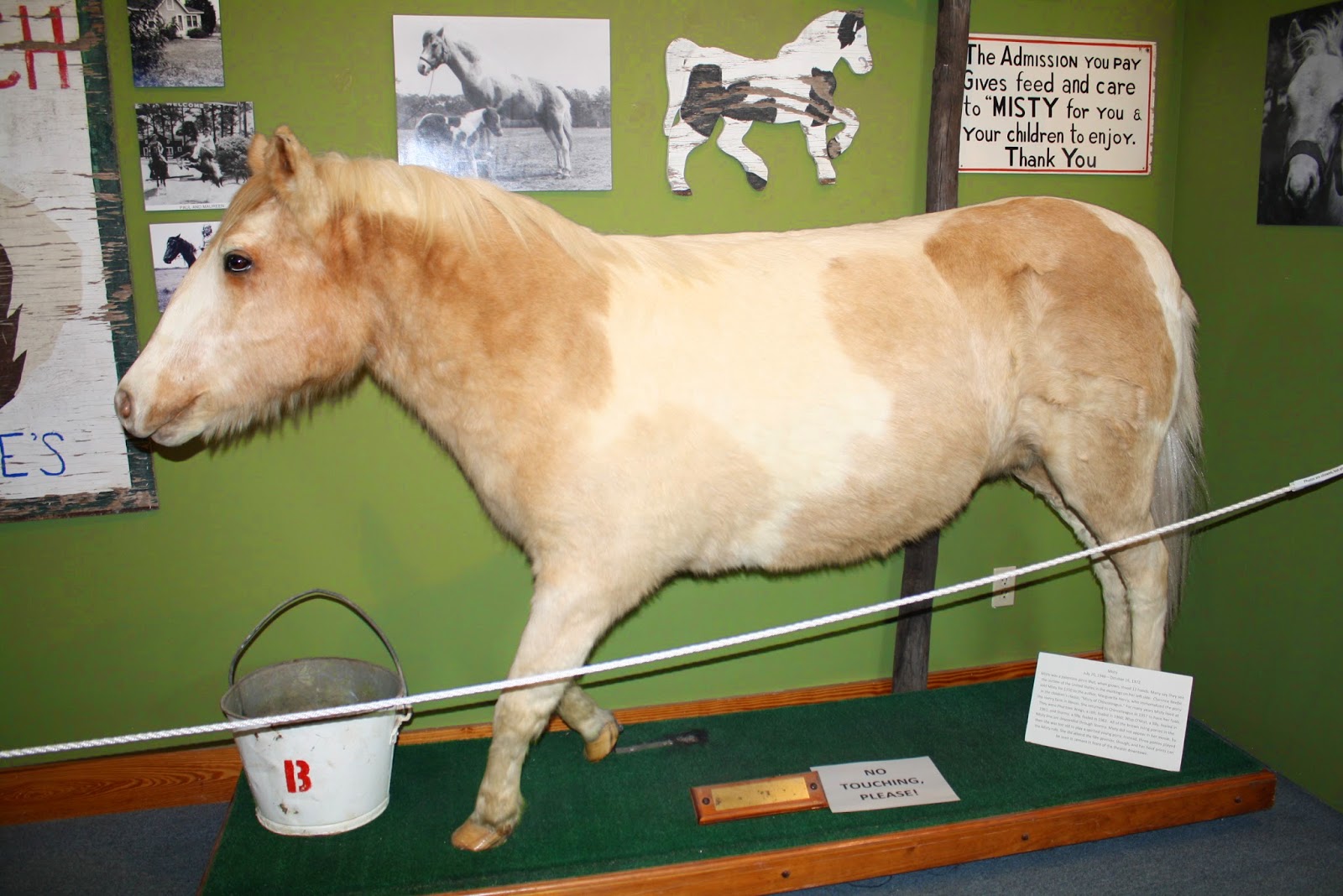 Coastal Breezes Academy: FIAR -Wild Horses of Sweetbriar