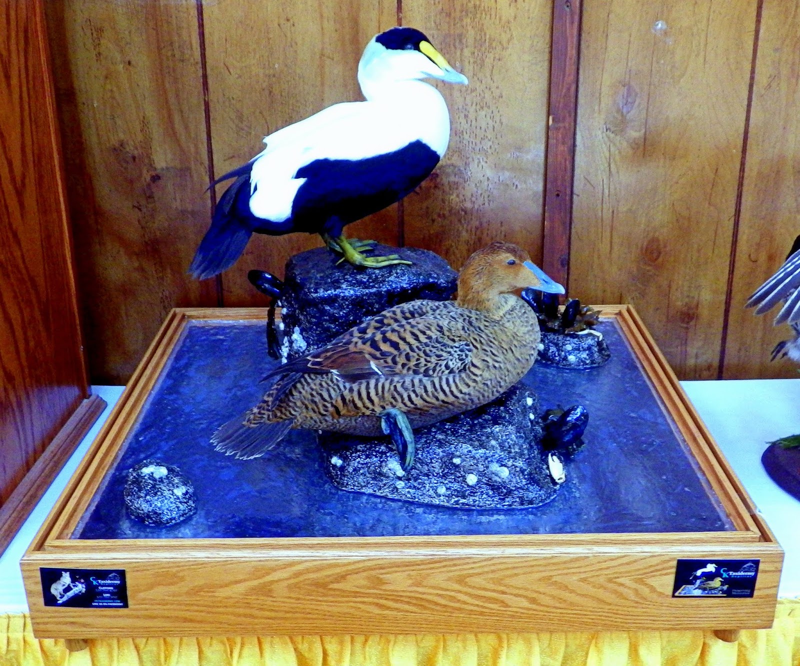 Reverend Fowl: Photo Album: Game Fair 2018 Reopens August 17th