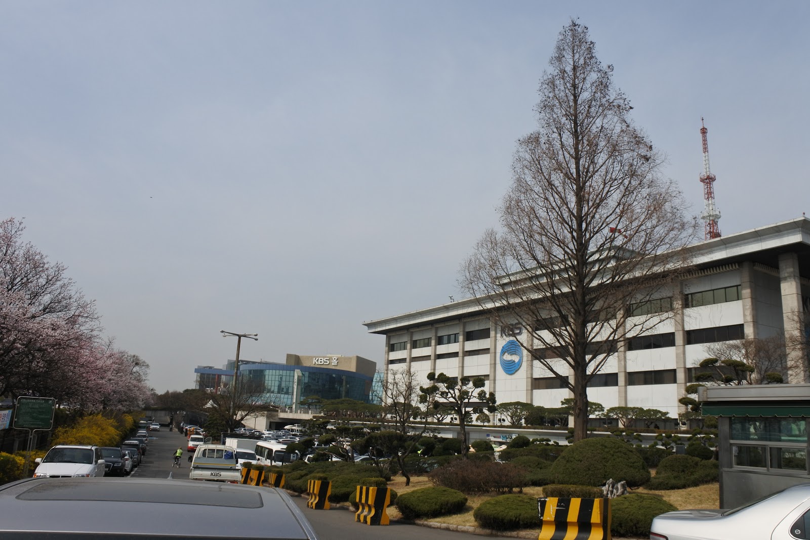 HARI KE 3 : BACKPACKER KE KOREA SELATAN PADA SAAT SPRING ( APRIL 2017 )