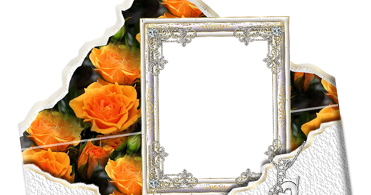 ForgetMeNot: orange roses frames