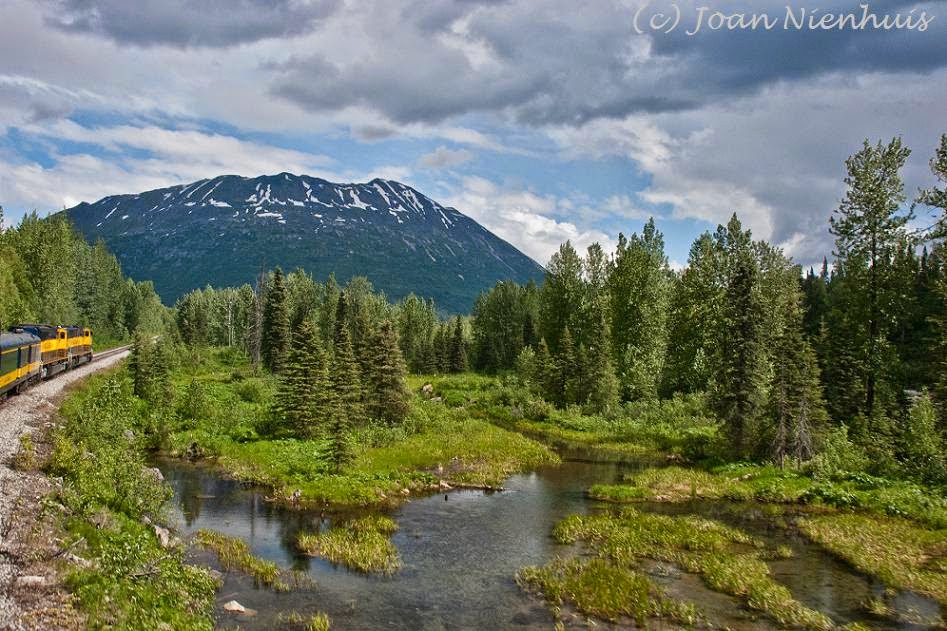 Pacific Northwest Photography: Denali Star Views (Alaska Railroad)