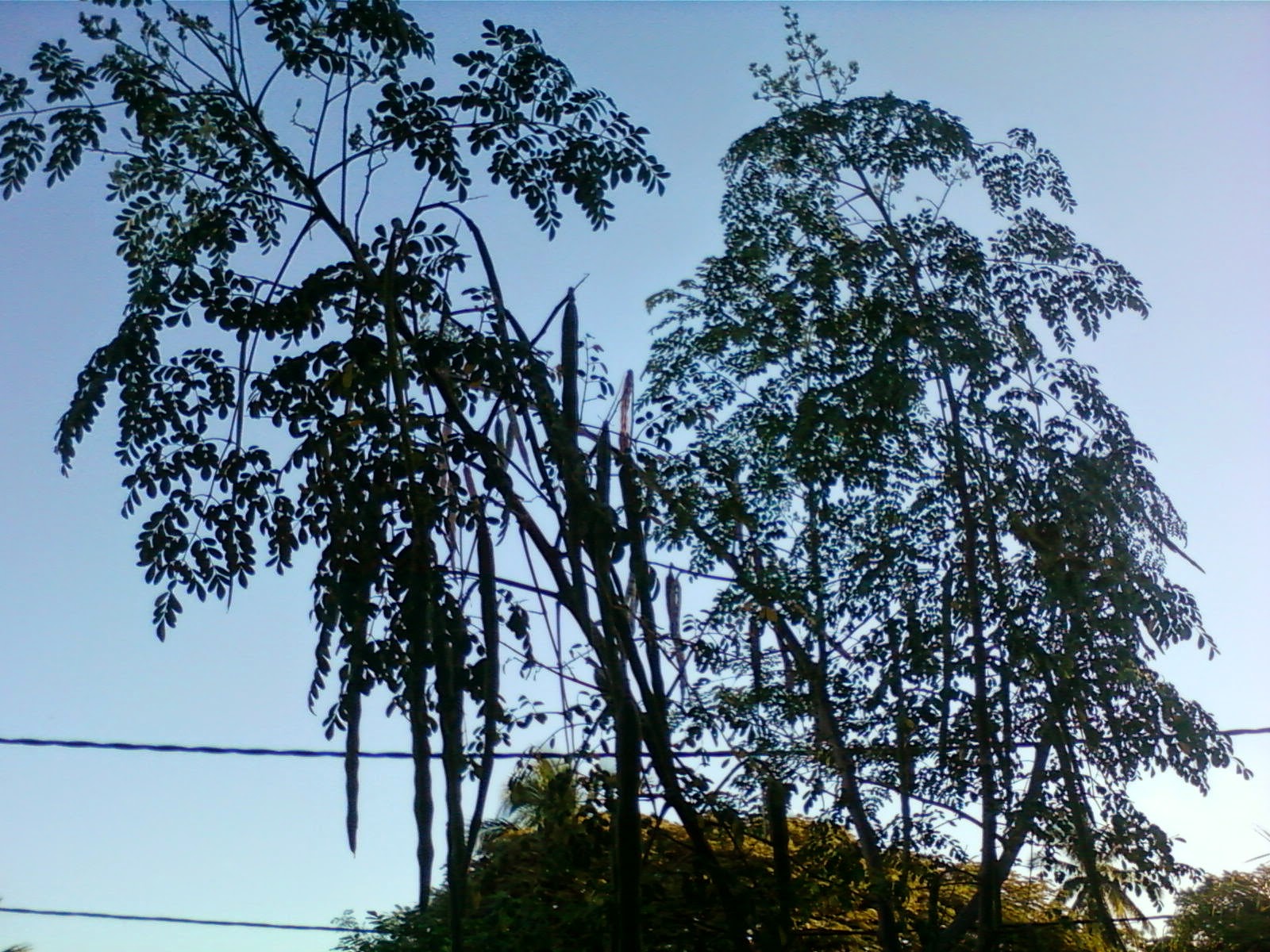 Partager avec plaisir - Recettes de cuisine faciles et idées de ...