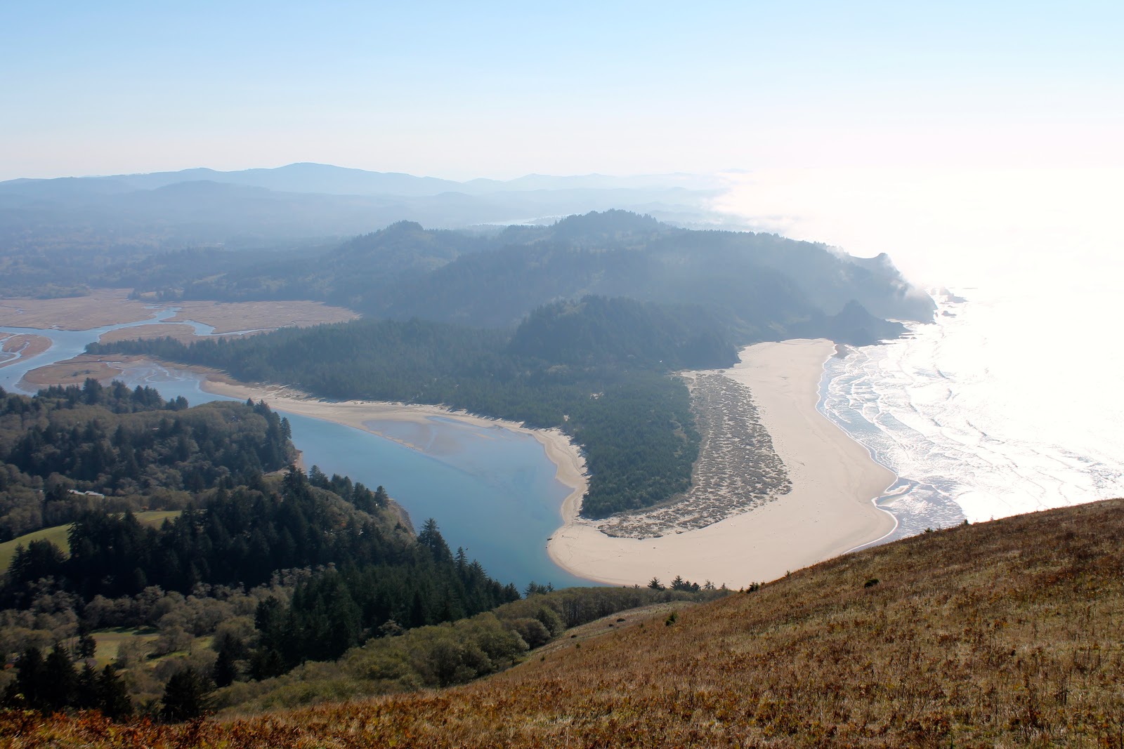 The Singing in the Wood: Oregon's Cascade Head, A Shorter Hike Option