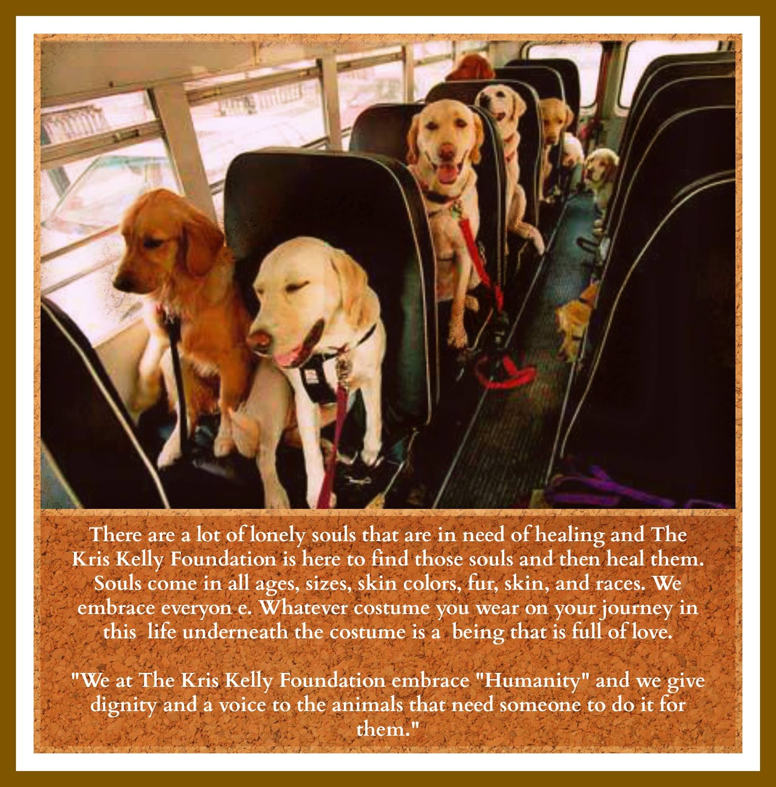 silvieon4: Wordless Wednesday---Worth it Wednesday! Kris Kelly Foundation