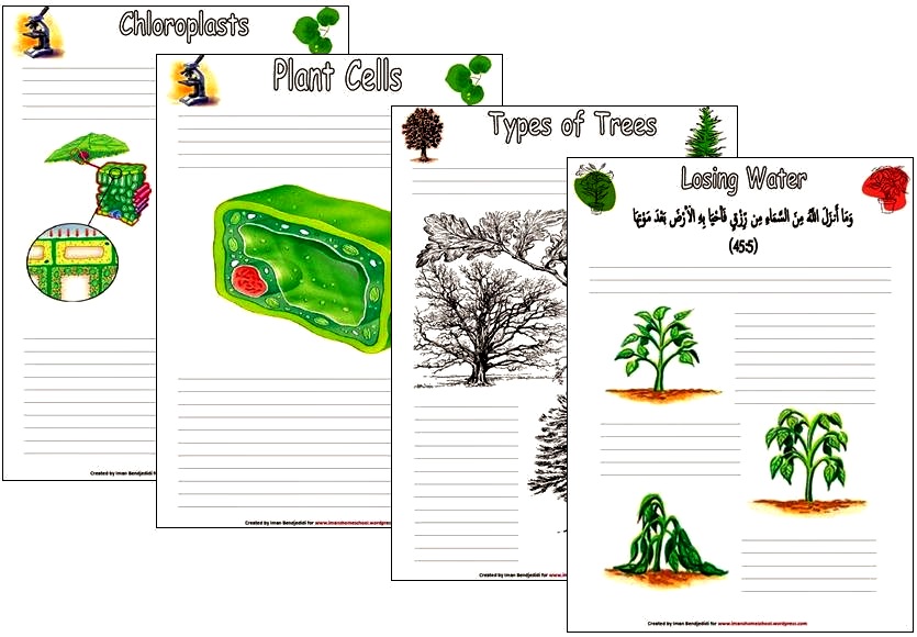 Iman's Home-School: Plants Notebooking Pages