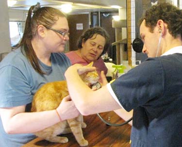 Four legged friends (and enemies): Vermont: Horror at "no kill" shelter ...