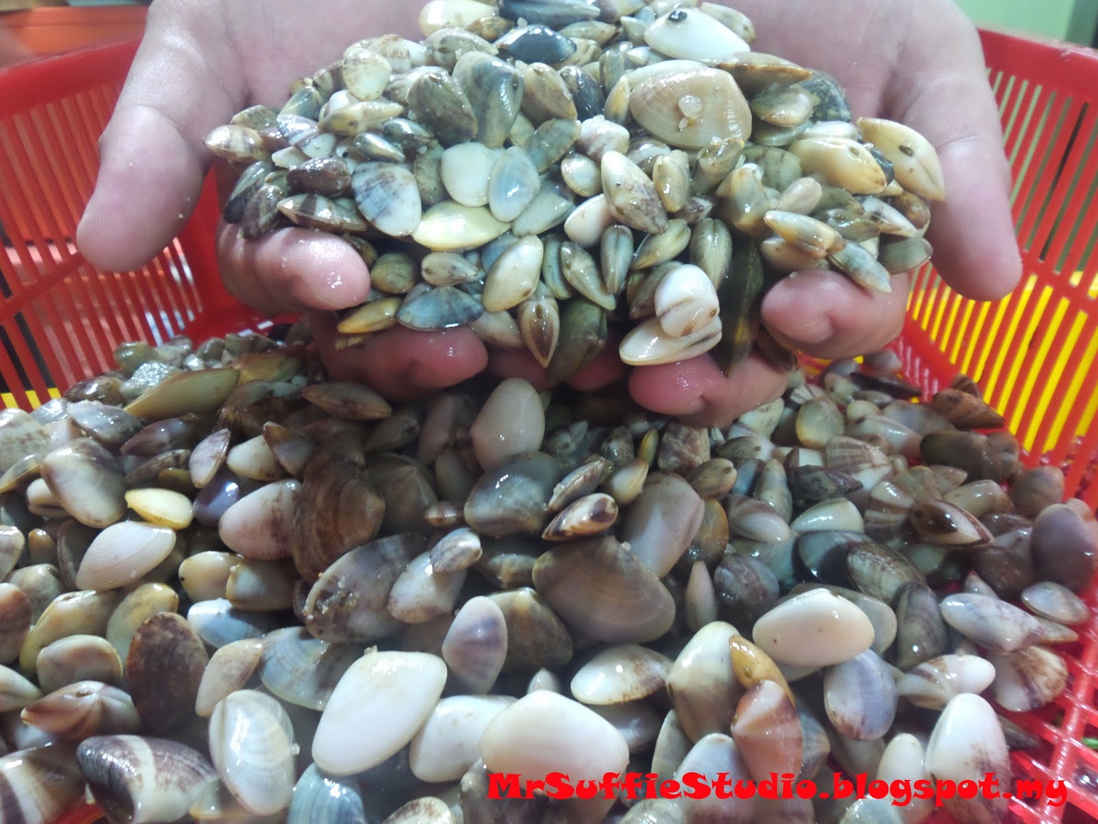 MrSuffie Studio: Kepayahan Mencari Remis @ Qemis