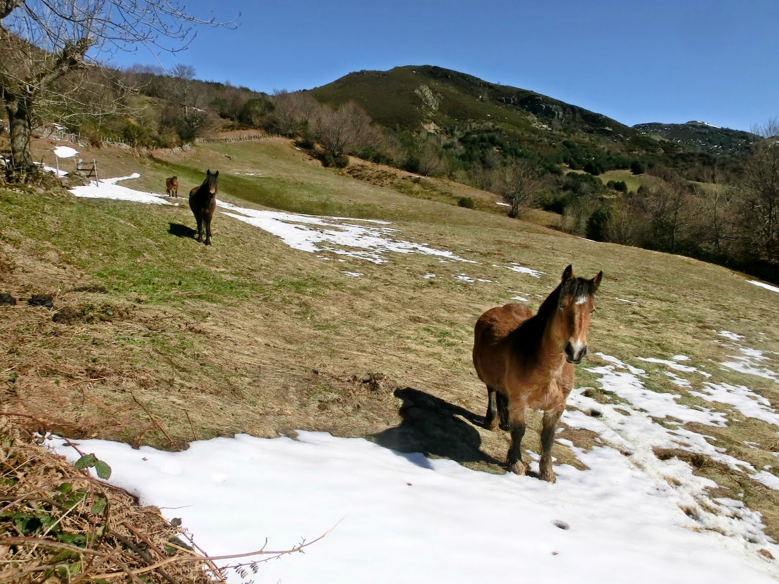 Pindio, pindio: Por los valles de Zurea (Valle del Teso-Valle de San Bras)