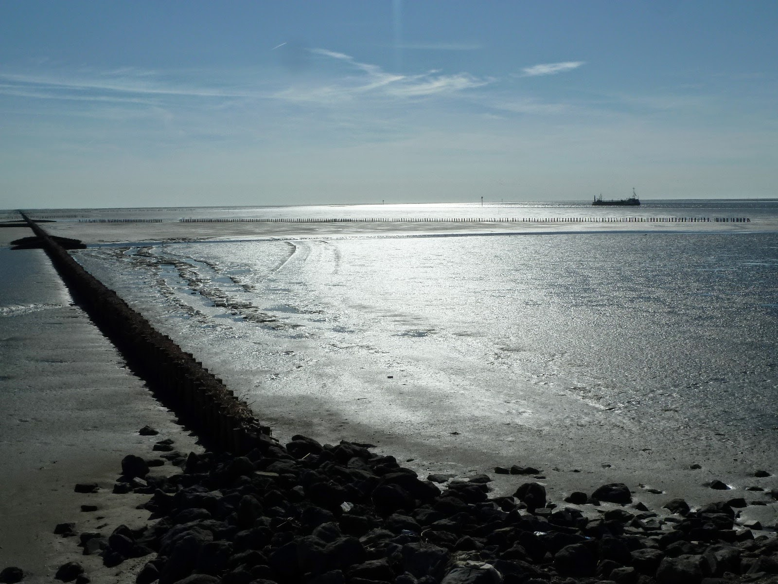 Zilte Zee: Waddenromance