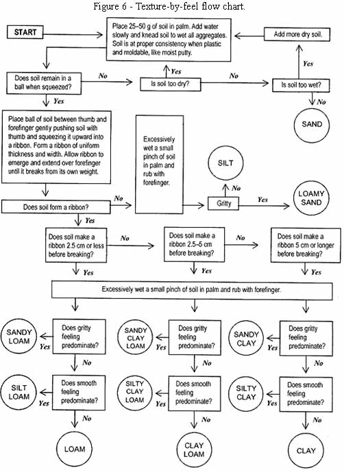 Leslie- Geology: Community Gardens