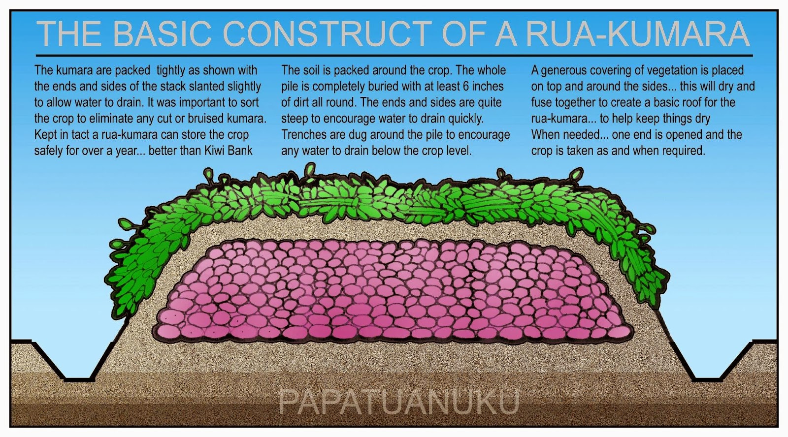 WARREN POHATU CREATIVE: THE OLD RUA KUMARA