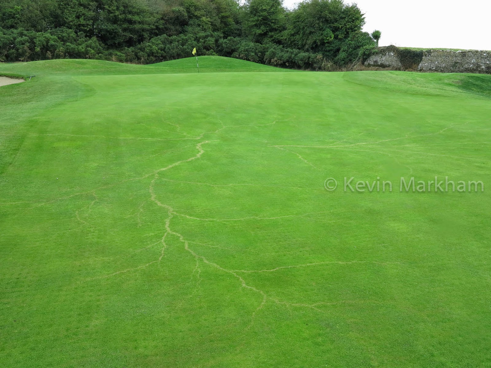 Hooked: Ireland's Golf Courses: Ballyneety - 'Phoenix' Golf Club of the ...