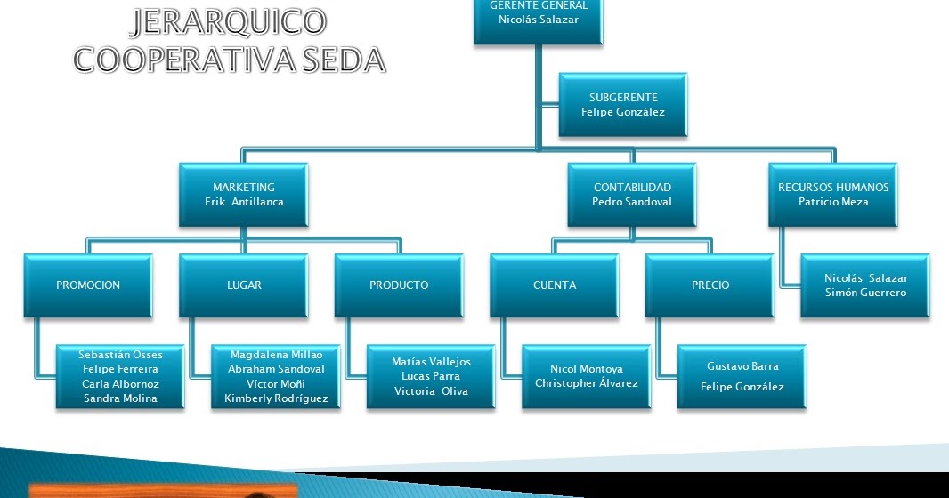 Cooperativa SEDA: Creacion del Organigrama Cooperativa SEDA
