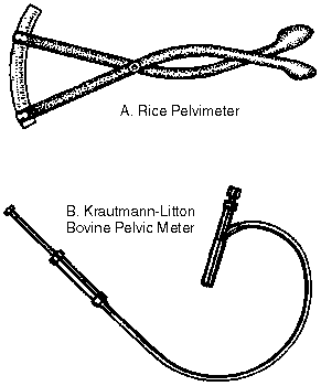 the life of a cow chick: May 2015