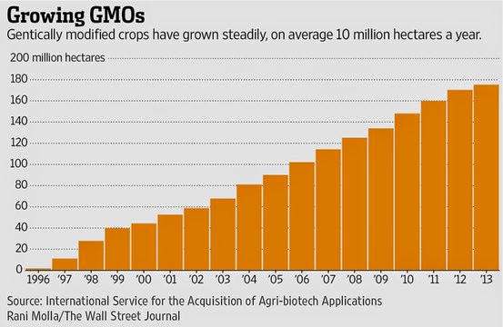 GMO grödor en hotande fara: Bomben om GMO-potatis som gav eko över hela ...