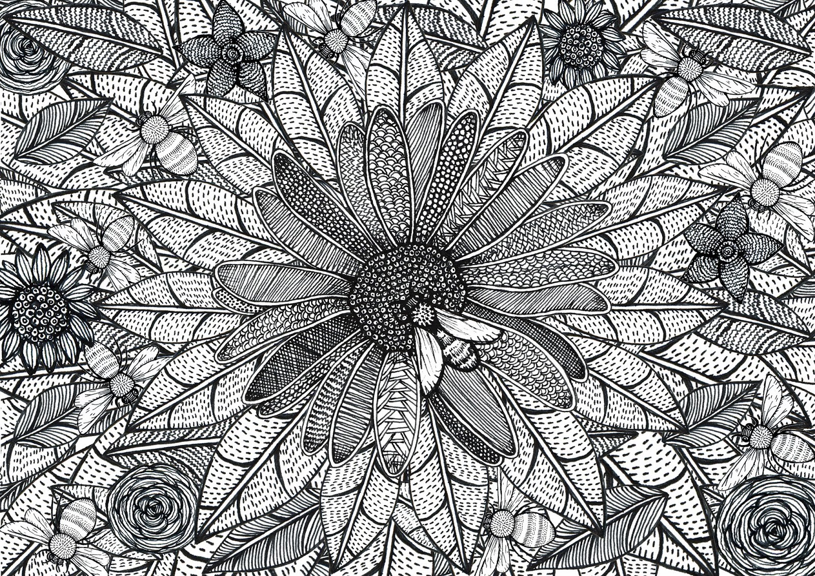 bryony drew a picture