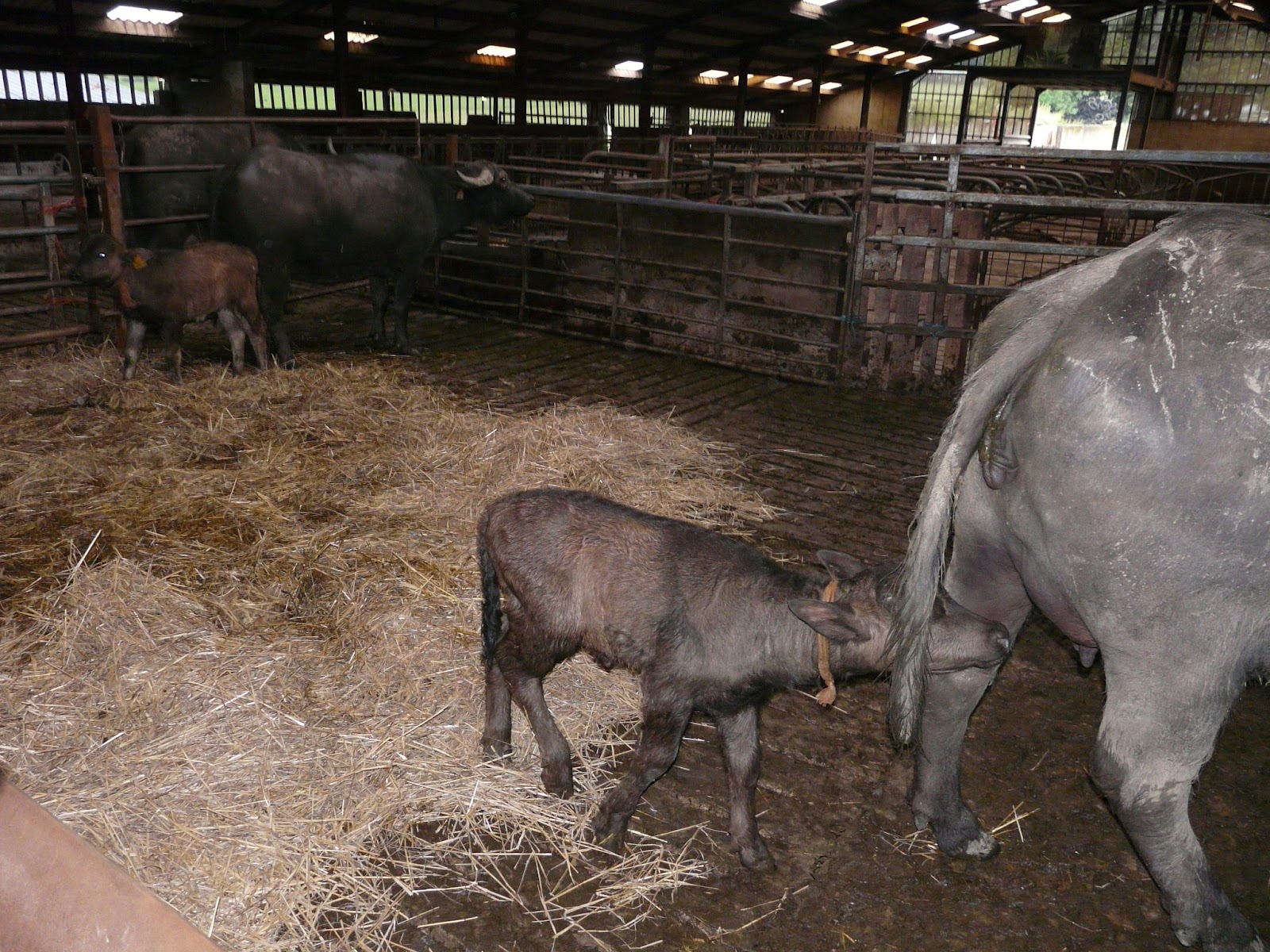 Blog de la 5e A de l'Institut Saint-Joseph de Neufchâteau: Visite de la ...