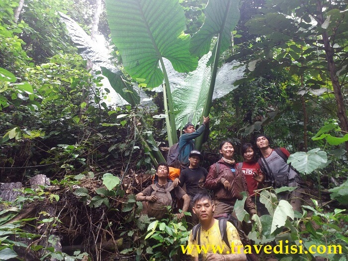 Air Terjun Terinting - Selayang Pandang Informasi Penelusuran Alam ...