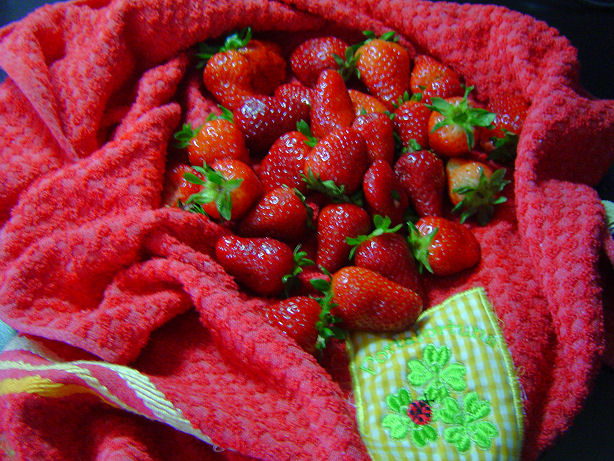 *: LIQUORE CREMOSO ALLE FRAGOLE