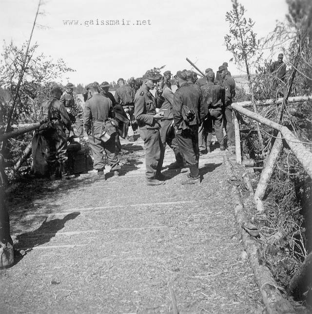NAZI JERMAN: Foto 6. SS Gebirgs-Division "Nord"