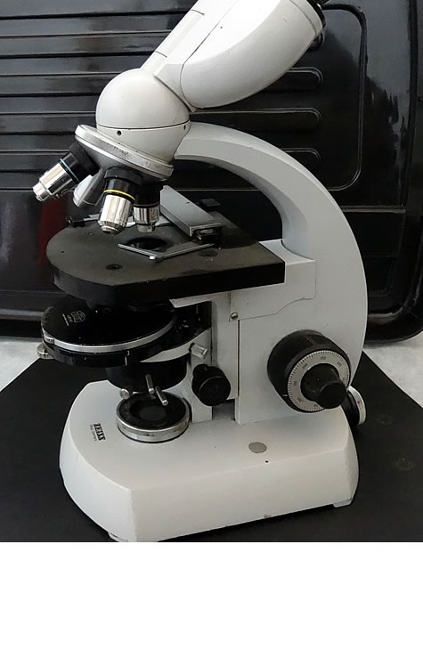 Microscopía Educativa: Calibrando Microscopio Carl Zeiss