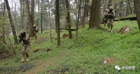 China Defense Blog: PAP unit of the day: Guiyang Special Police Linbao ...