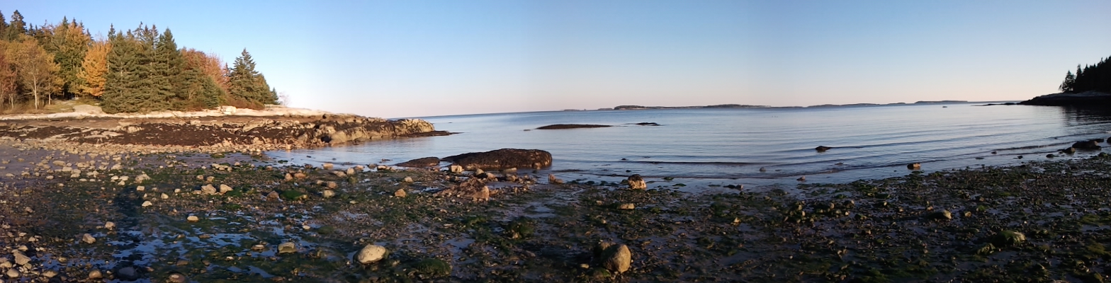 Mussel Ridge Adventures: Sea Kayak tour of Muscle Ridge Maine
