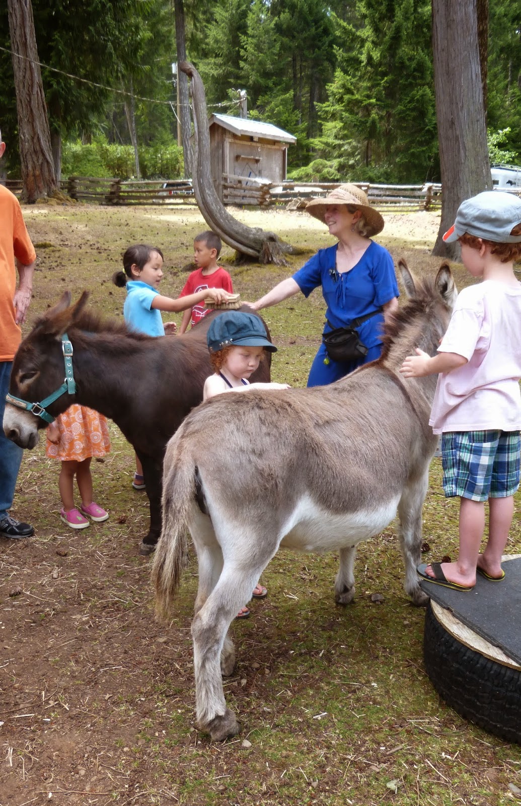 A Donkey Diary: Kids!