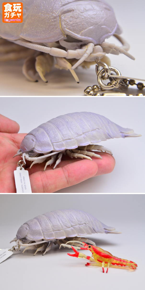 collectiontoy: Nature Techni Colour MONO Plus Giant Isopod & Isopod ...