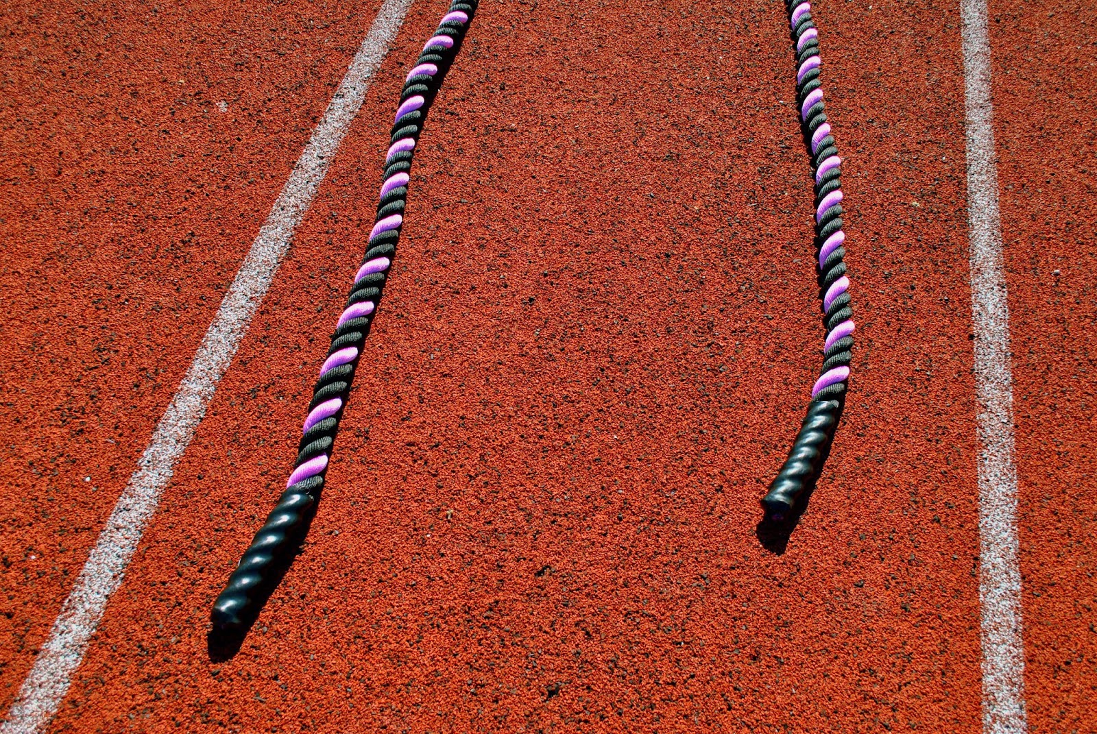 Diary of a Fit Mommy: Fringesport Battle Rope Review