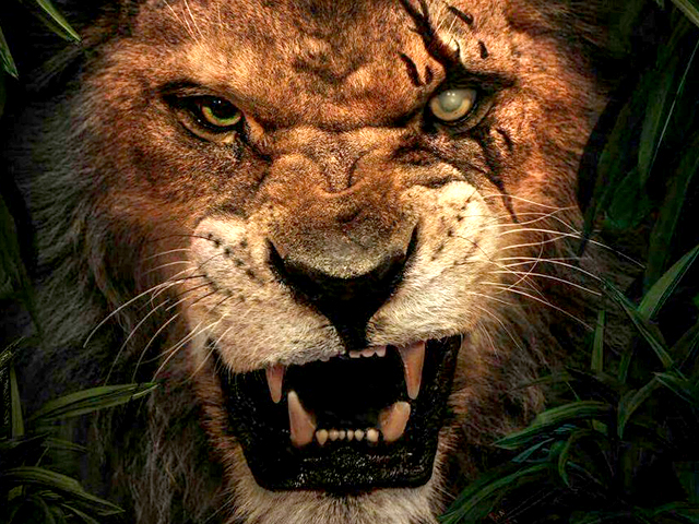 El Parroquiano: Vea el trailer del nuevo Rey León que esta reventando ...