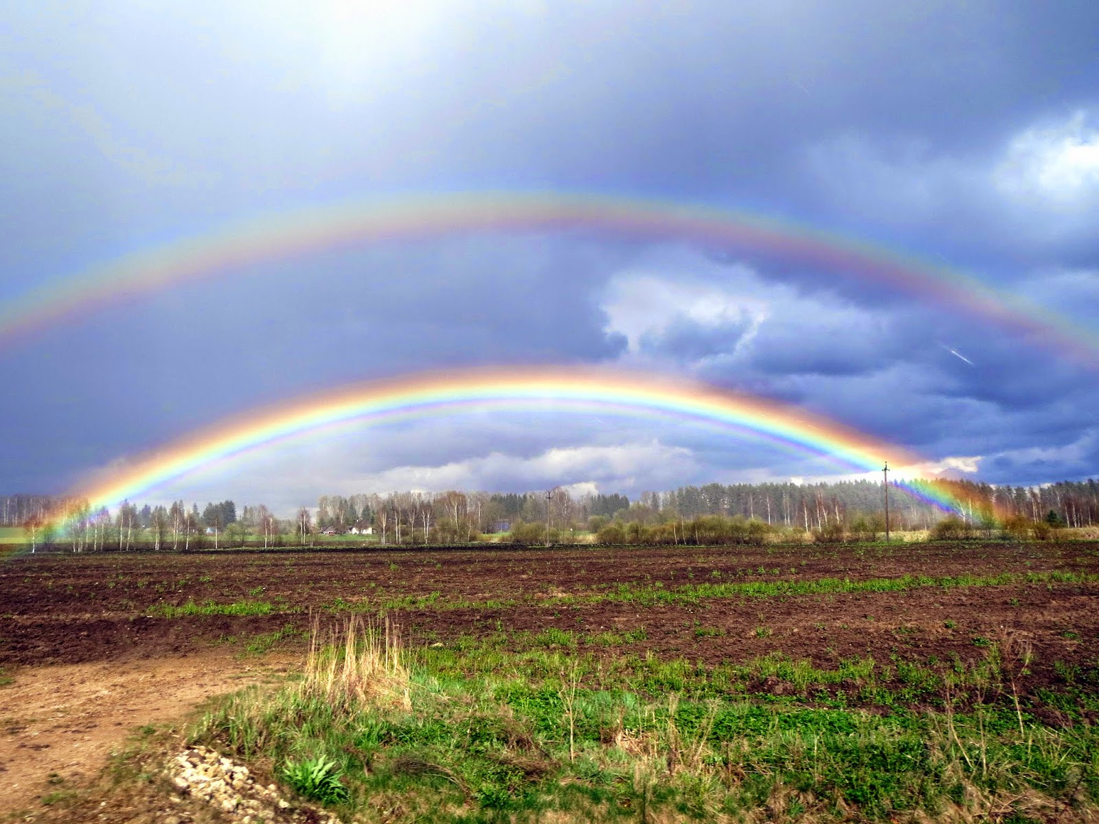 2. JA 4. KLASS 2013_2017: Vikerkaar
