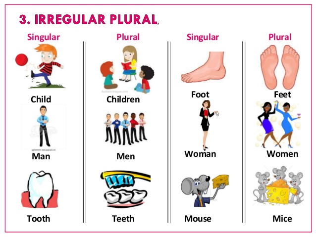 Let s Learn SINGULAR And PLURAL Lets Learn SINGULAR And PLURAL let-s-learn-singular-and-plural-lets-learn-singular-and-plural