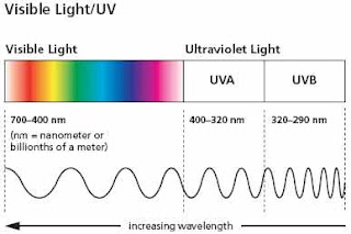 UV Rays and Sunscreen