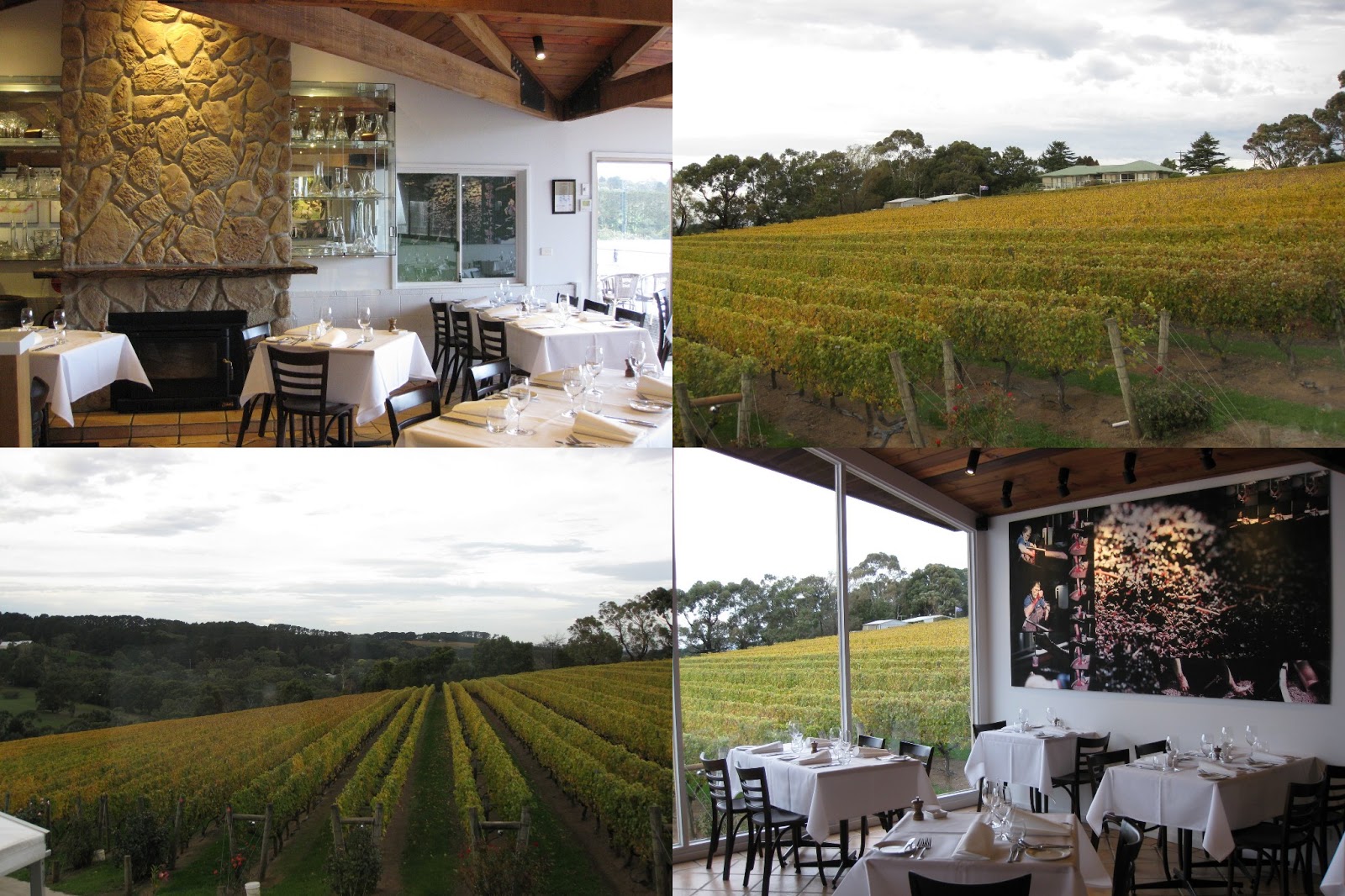 Mornington Peninsula Day Trip