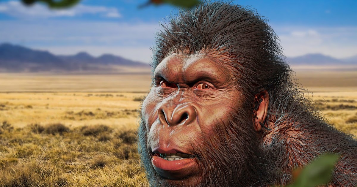 Art of Petry: Australophithecus Robustus- 2.0 and 1.2 million years ago.