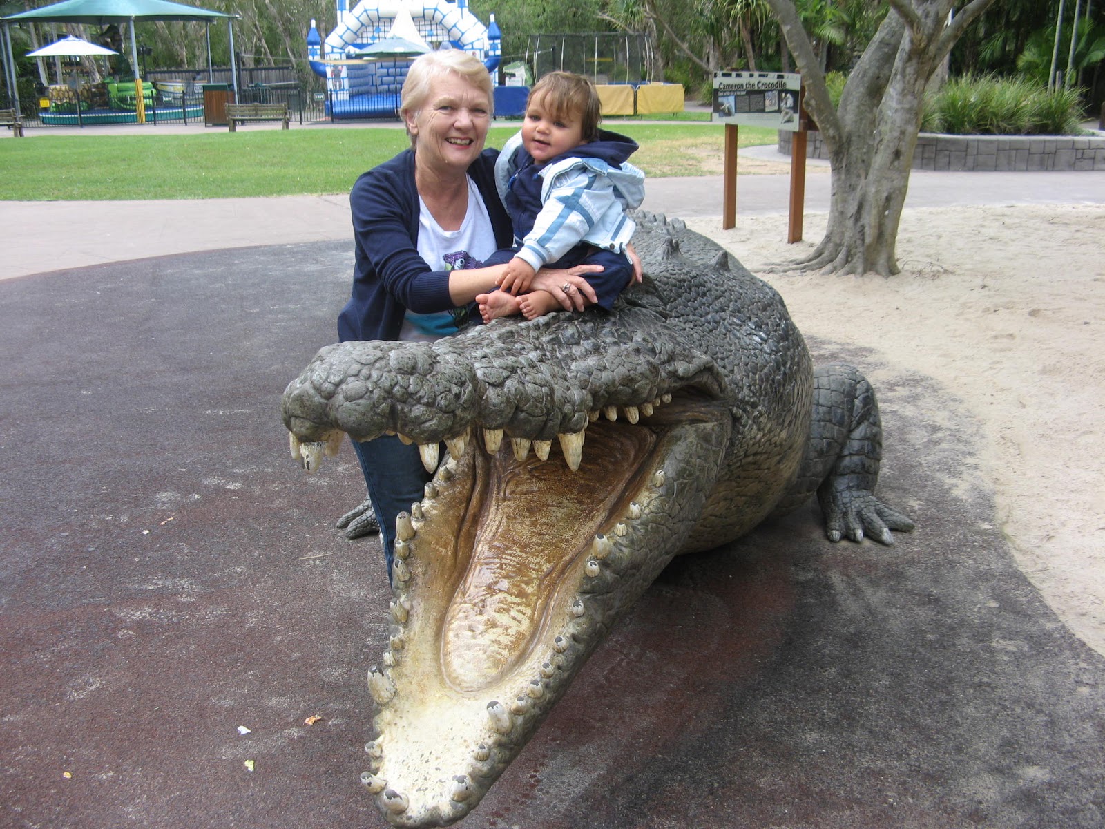 A Wandering Widow - Solo Travel: Australia Zoo, Queensland - Home of ...