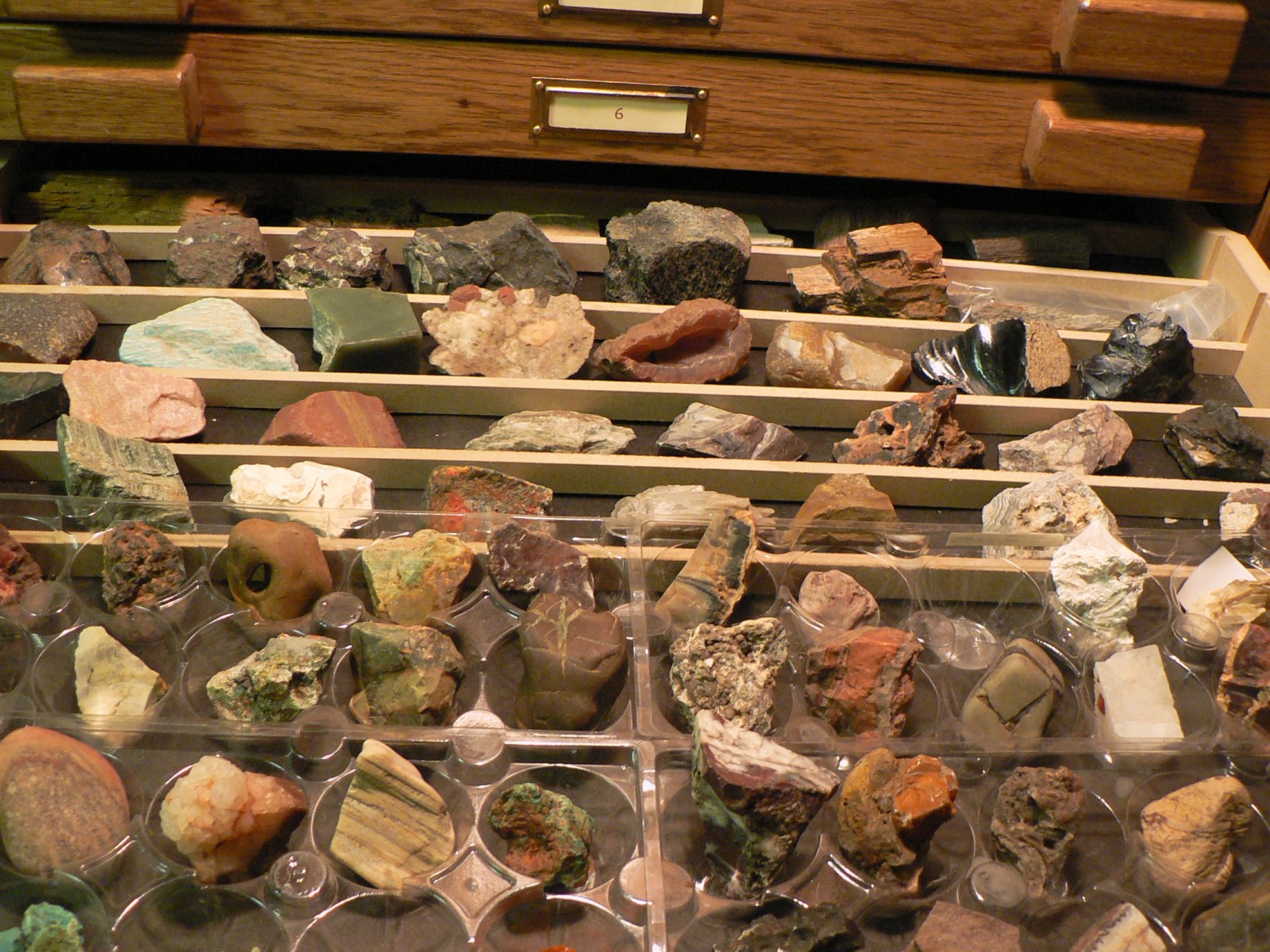 A Rock and Mineral Cabinet: Using the Storage and Display Cabinet