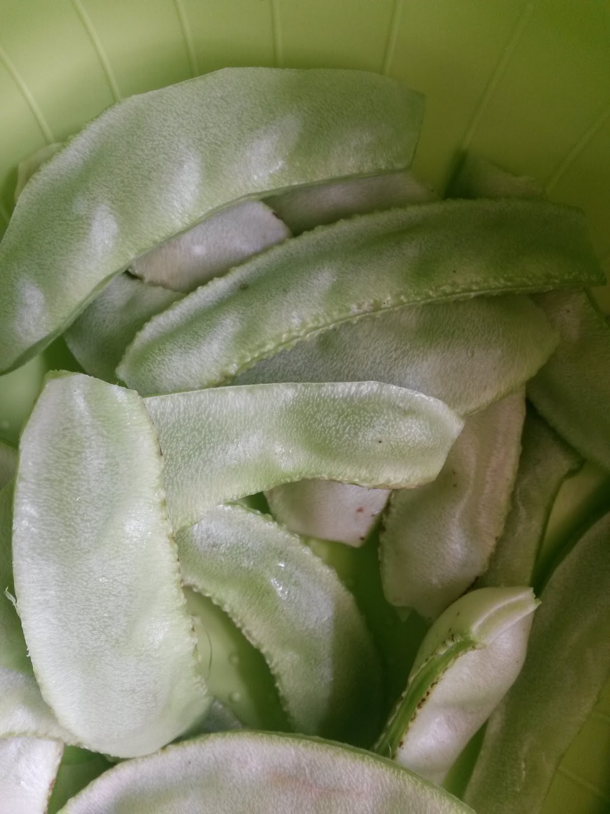 TRINI FOODS : Stir Fried Saime