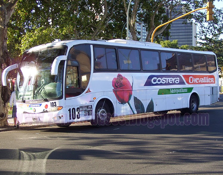 Colectibus - Zona de Buses: LINEA 195