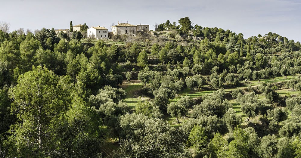 miguel santesmases: El Mas Blanco