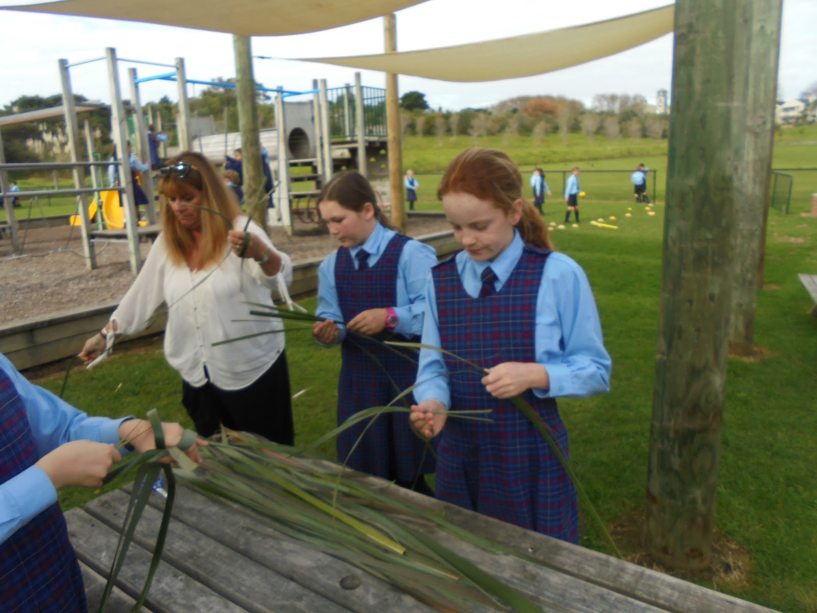 Wentworth Primary School - Year 3 Blog: Flax Weaving