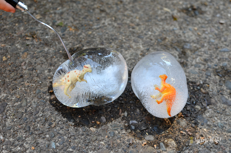 Frozen Animals Fossils