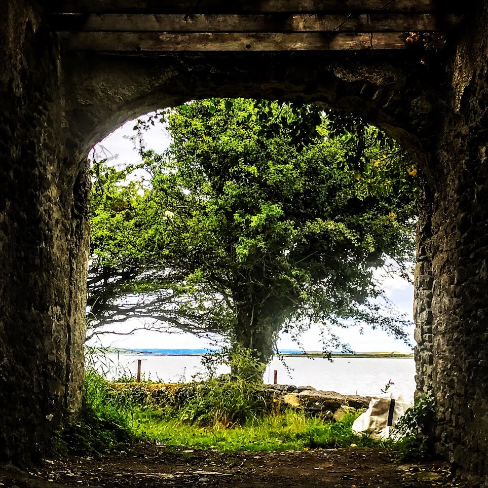 Patrick Comerford: A summer afternoon by the Shannon Estuary at the ...