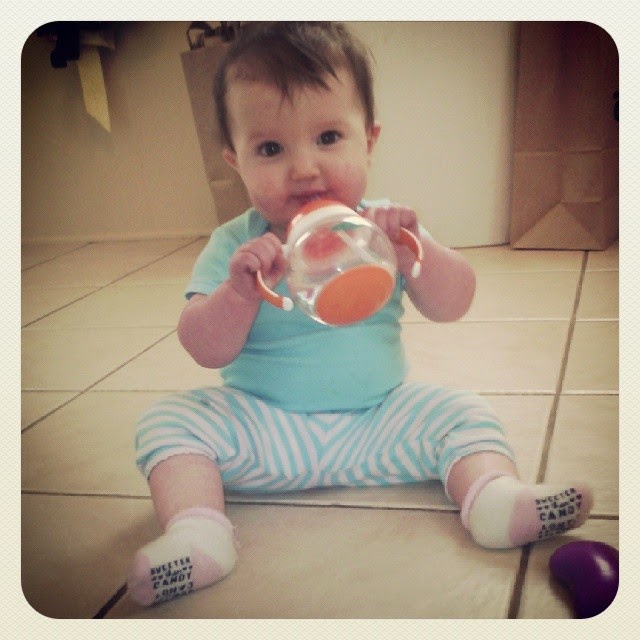 Planning for Little Baby Legg: 8 Months