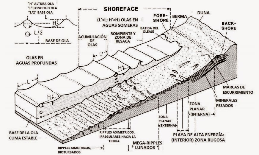 Geoaprendo: Resumen - Beach and shoreface sediments (Einsele, 2000)