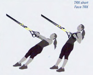 TRX EXERCISES: Upper Body Options