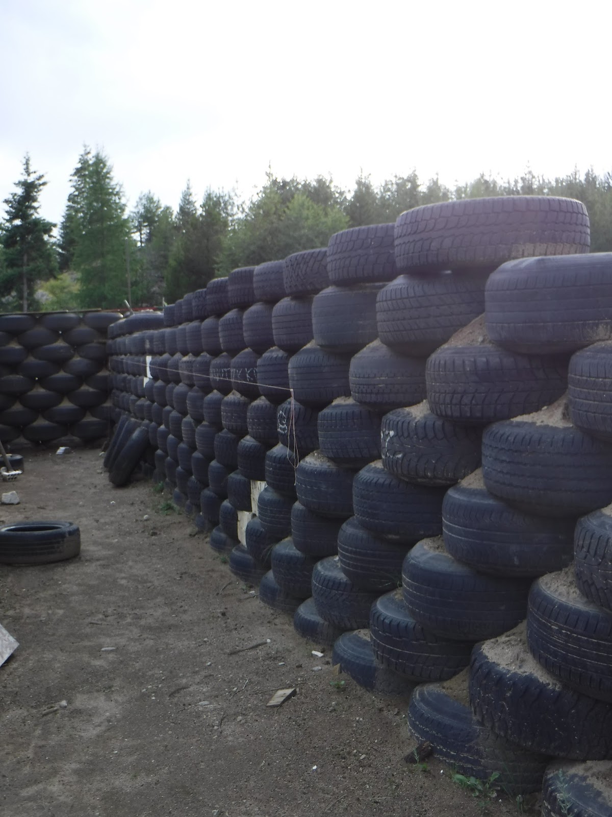 Fiddlehead Time...: Off Grid Reality