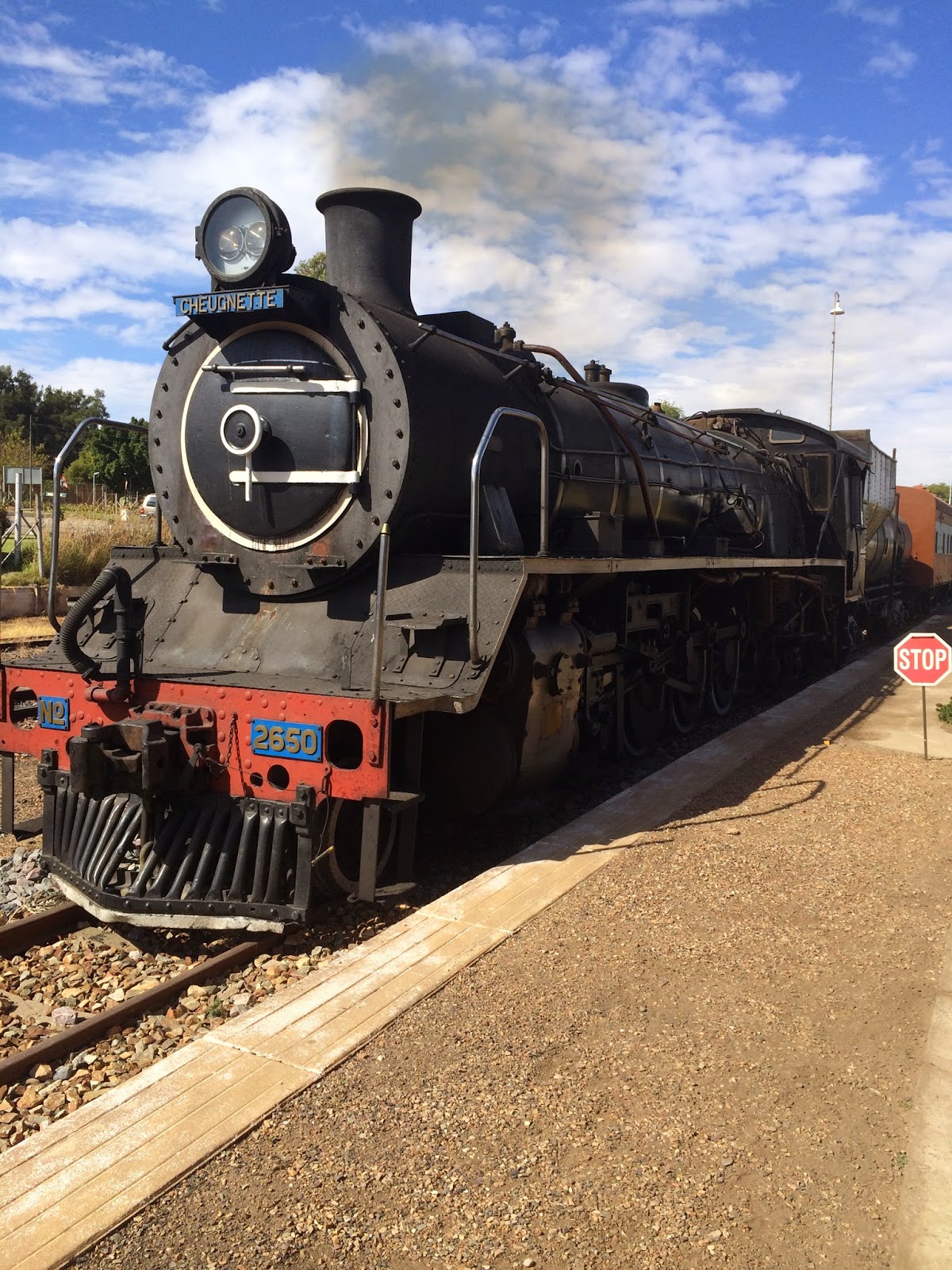 Remarkable Train Rides for Kids in Pretoria