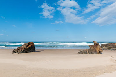 National Park Odyssey: Walks and Wildlife from Point Plomer Campground ...